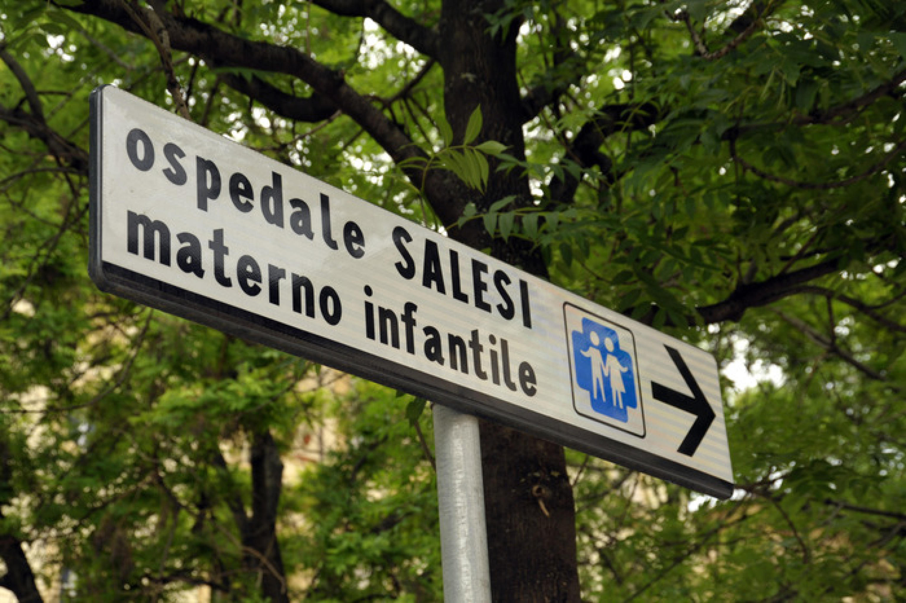 Gozzini, 'Salesi sempre più importante' ma preoccupano i tempi per ...