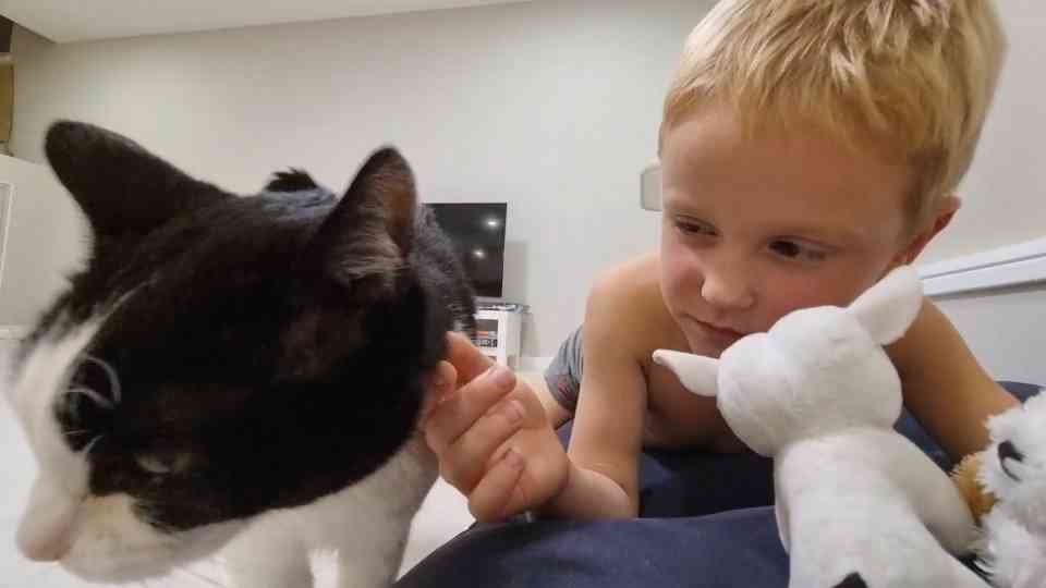 Official cat-approved human