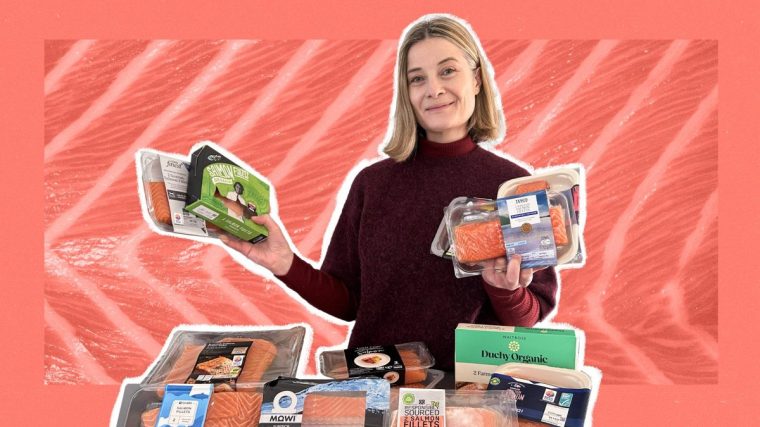 I tried and rated 14 supermarket salmon fillets