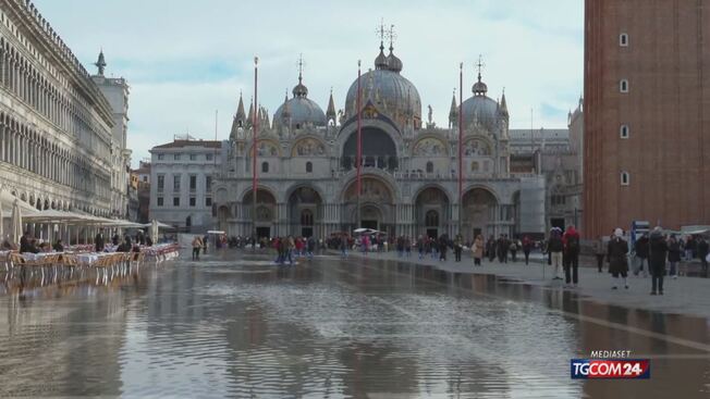 Venezia, l'alta marea porta con sé un'invasione di cefali per le vie ...