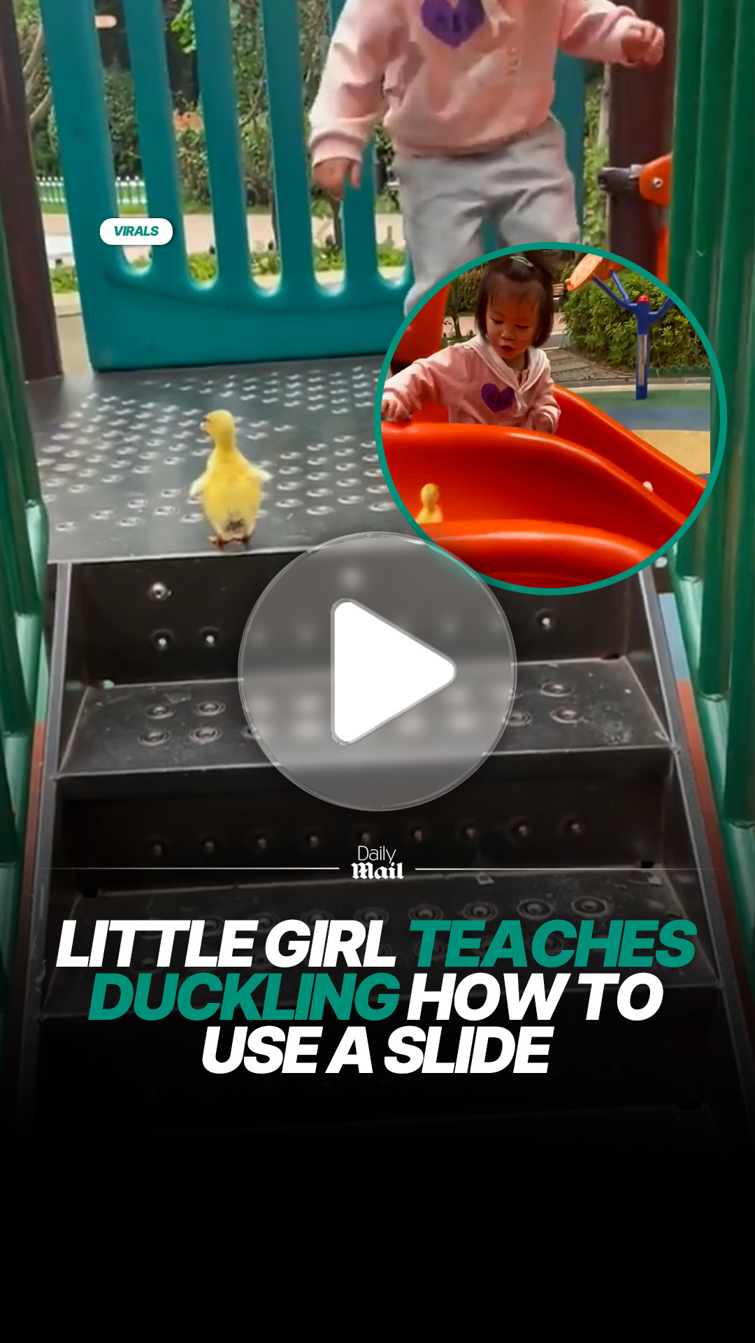Toddler helps duckling down playground slide