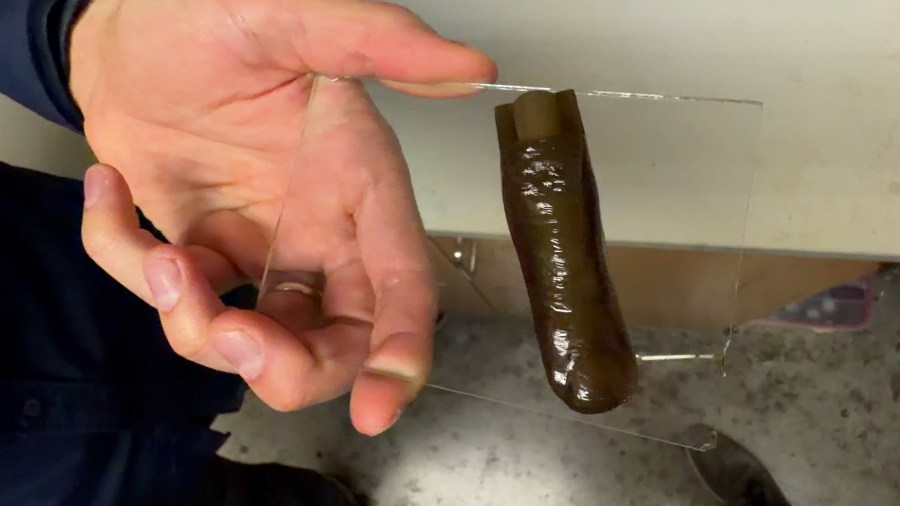New 3D printer tech at UT Austin creates bodies that feel real