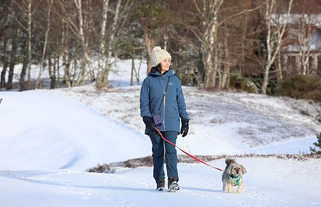 Snow and rain chaos for half-term as cold health alert issued with ...
