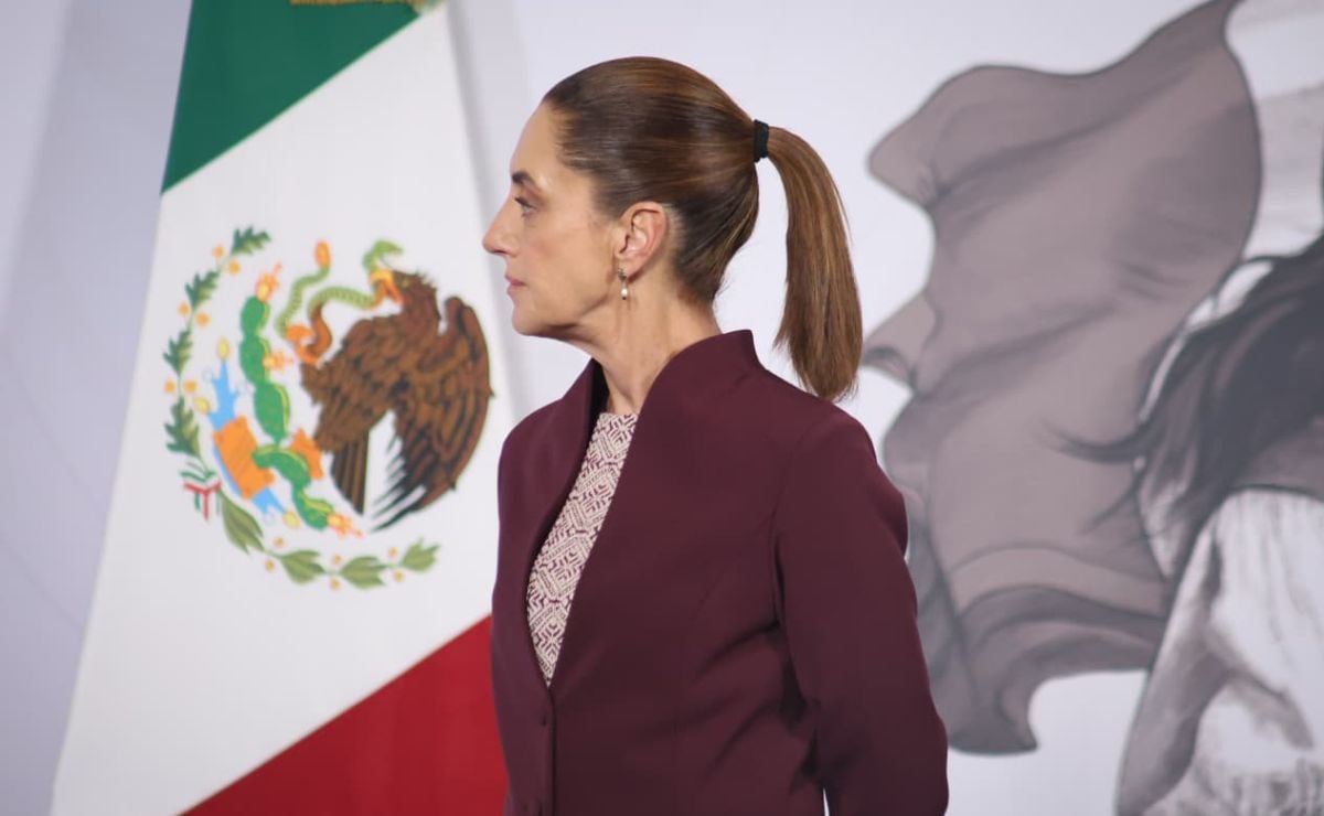 Sheinbaum: Ya no voy a tocar el tema de Marx Arriaga; sucesora Nadia ...