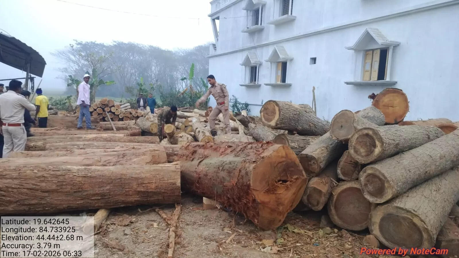 Timber worth Rs 30 lakh seized from 3 illegal saw mills