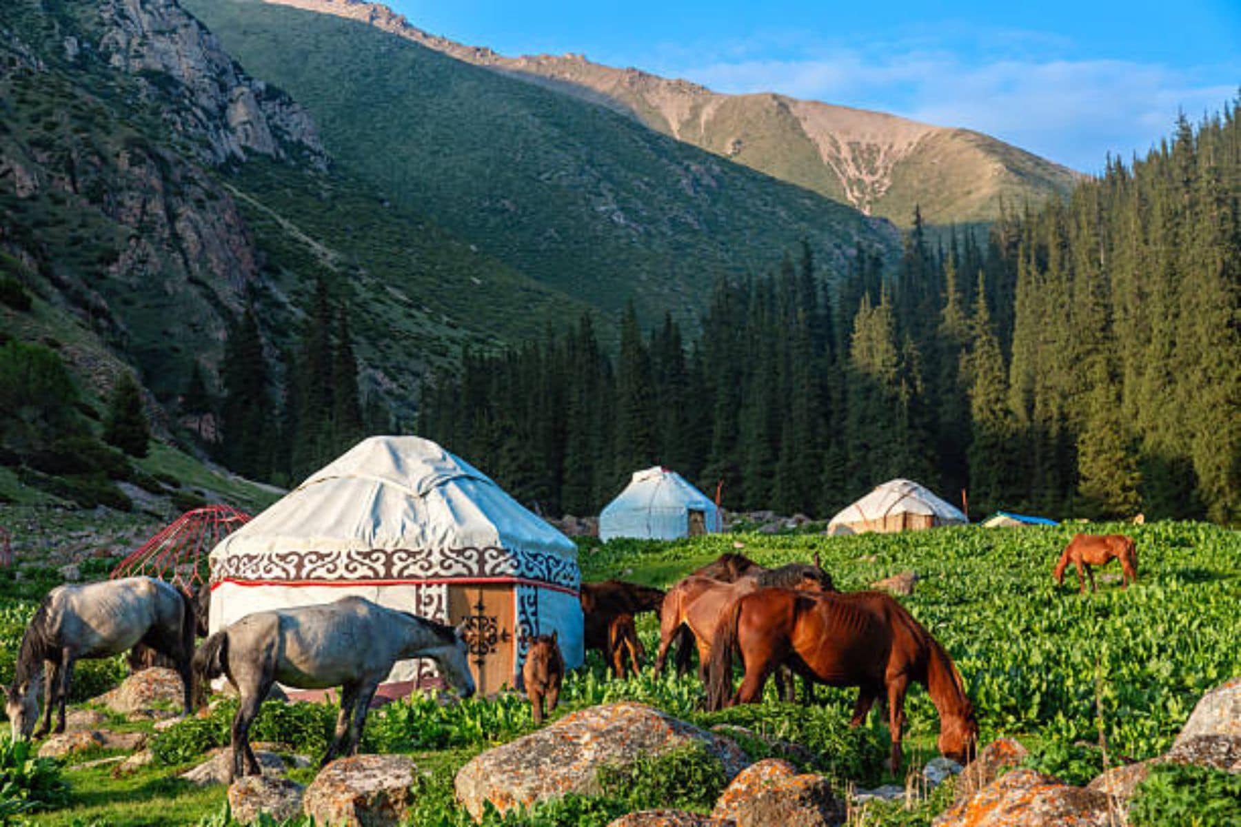 Discovering Kyrgyzstan: Top 10 reasons to visit Asia’s overlooked gem