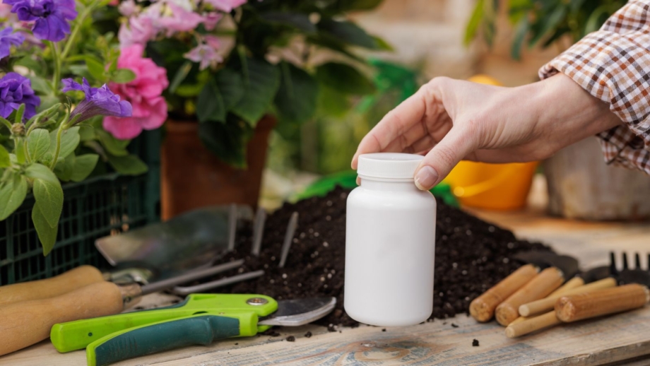 Don’t burn your seedlings: Fertilizer mistakes to avoid