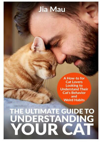 3 weird cat behaviors explained