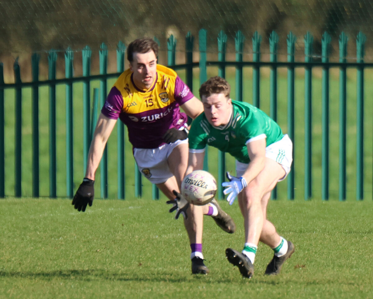 'We have an ambitious group - Croke Park is the aim': James Naughton on ...