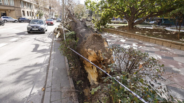 Third storm to hit SoCal causing more destruction