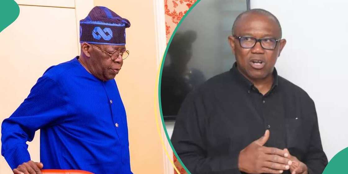 Tinubu's city boys vs Peter Obi's village boys: ADC chieftain speaks ...