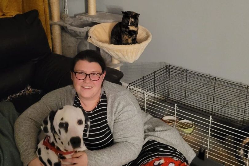 West Lothian cat's miracle escape after surviving 2-mile trip stuck in ...