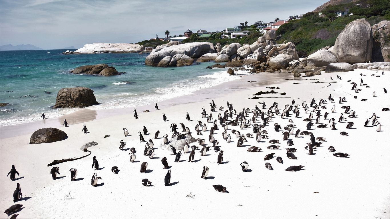 TripAdvisor releases 2026 best of the beaches travelers’ choice awards
