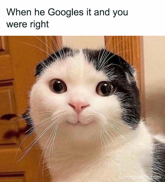 69 funny and chaotic marriage memes to send your partner instead of ...