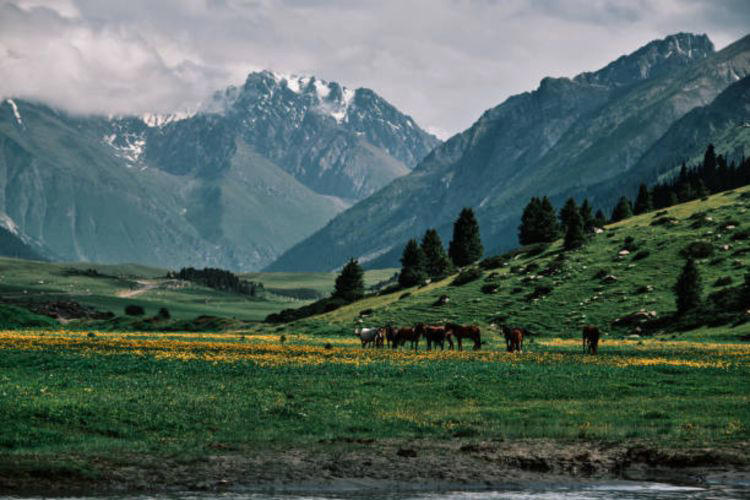 Discovering Kyrgyzstan: Top 10 reasons to visit Asia’s overlooked gem