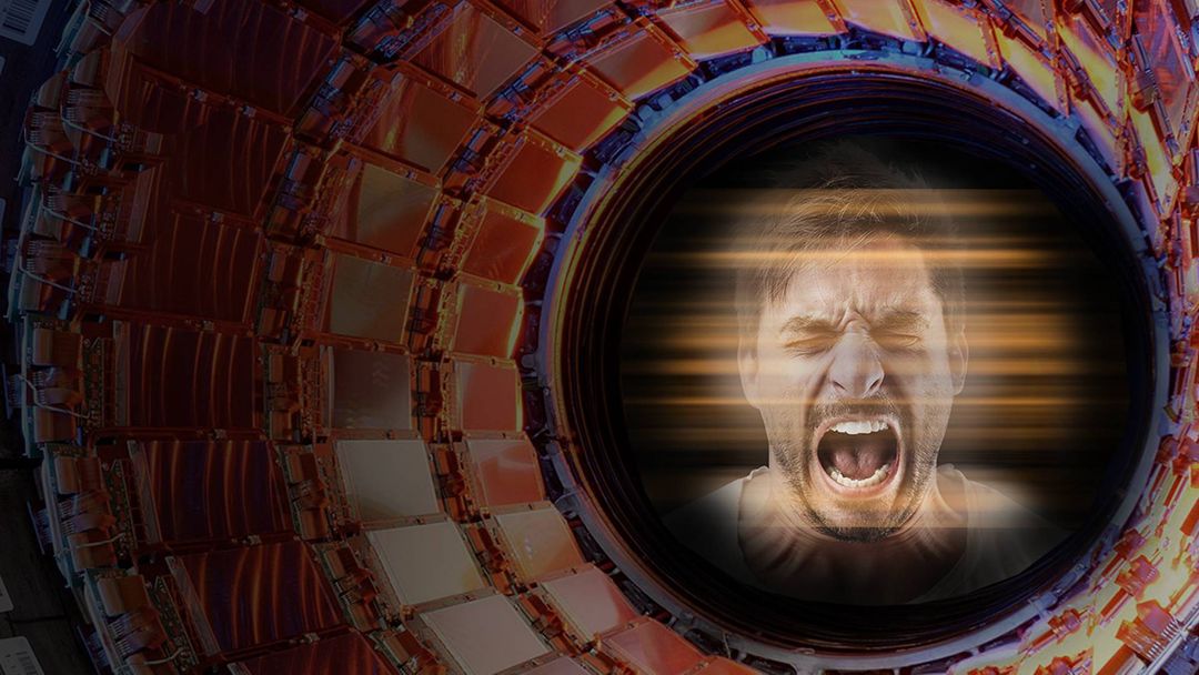 The effects of putting your head in a particle accelerator