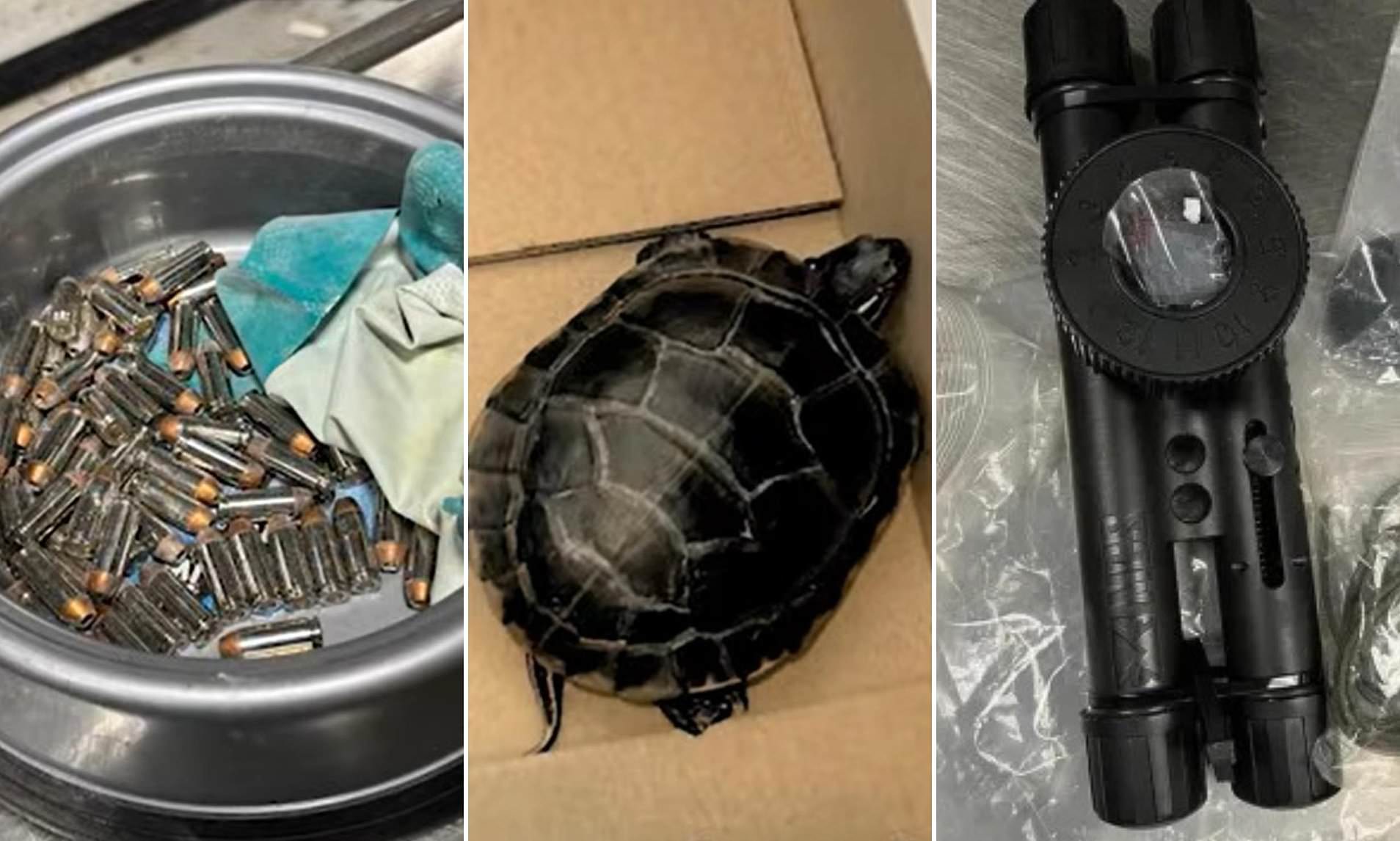 TSA reveals the most shocking prohibited items that passengers have ...