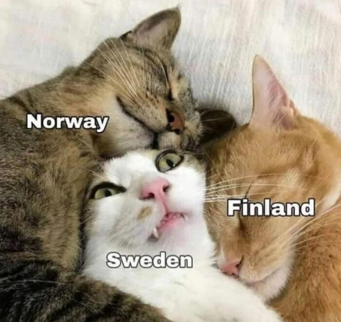 63 hilarious memes that prove geography can be fun
