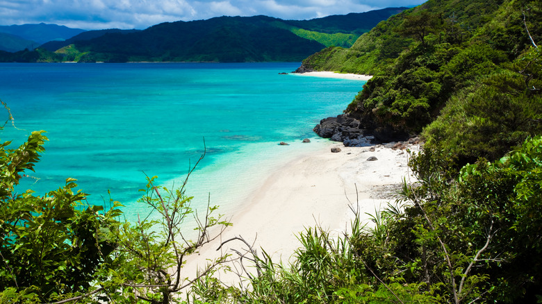 Japan's 'Galápagos' are secret tropical islands with turquoise-clear ...