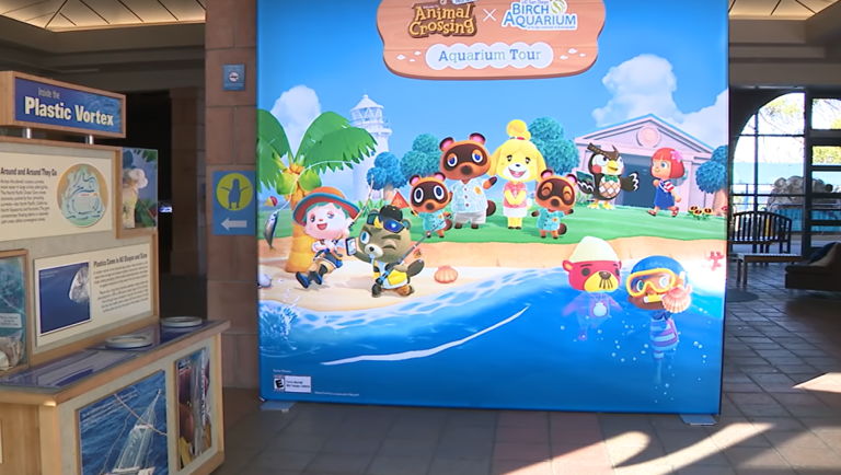 Experience 'Animal Crossing: New Horizons' tour at Birch Aquarium at ...