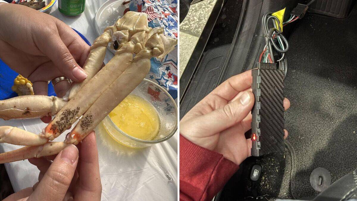 Unusual things that required more investigation