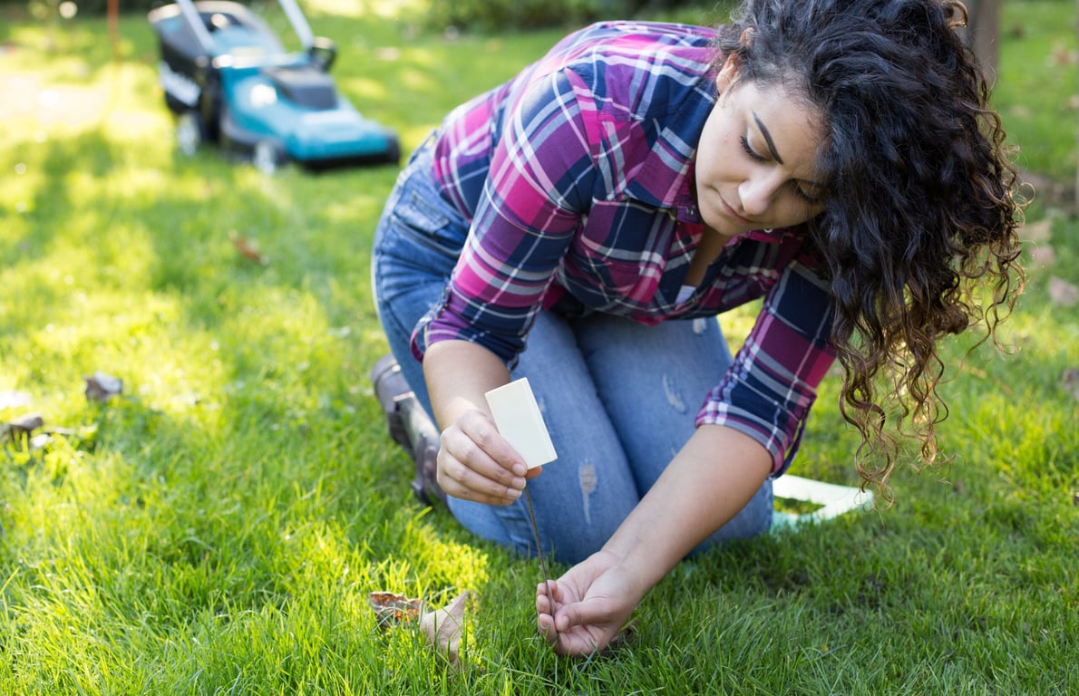 5 signs that it's high time to overseed your lawn