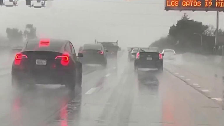 Bay Area storm problems: Downed tree in San Francisco, lightning strikes