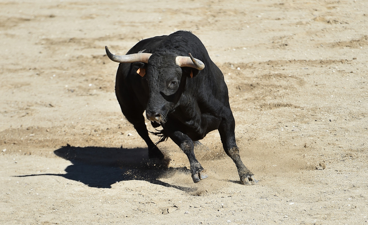 71-year-old man dies from bull goring at Carnaval del Toro festival in ...