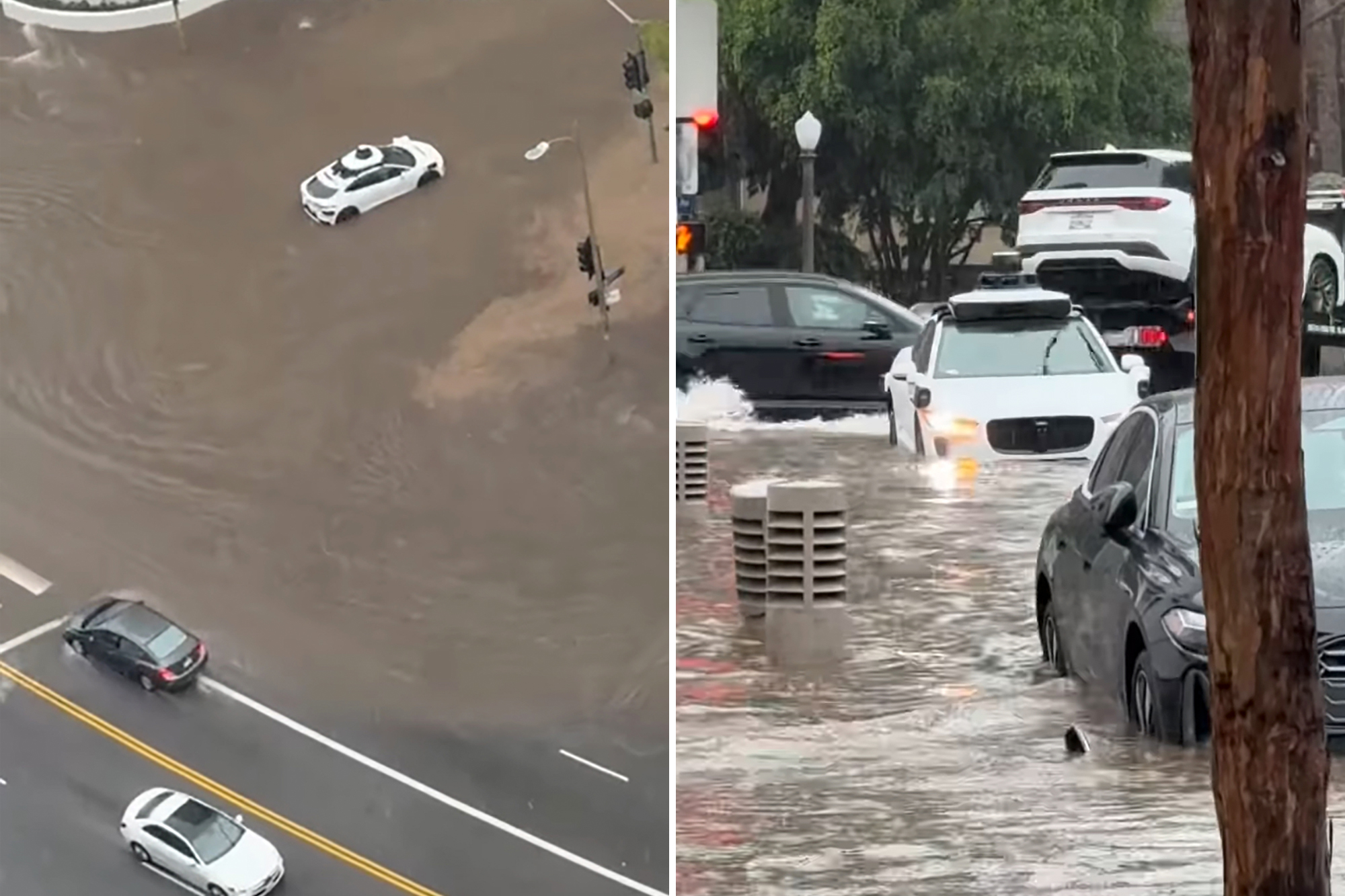 Waterlogged Waymos get stranded in LA flooding: 'Hopefully nobody inside'