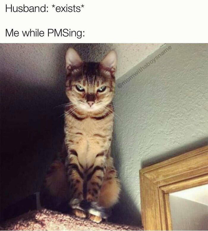 69 funny and chaotic marriage memes to send your partner instead of ...