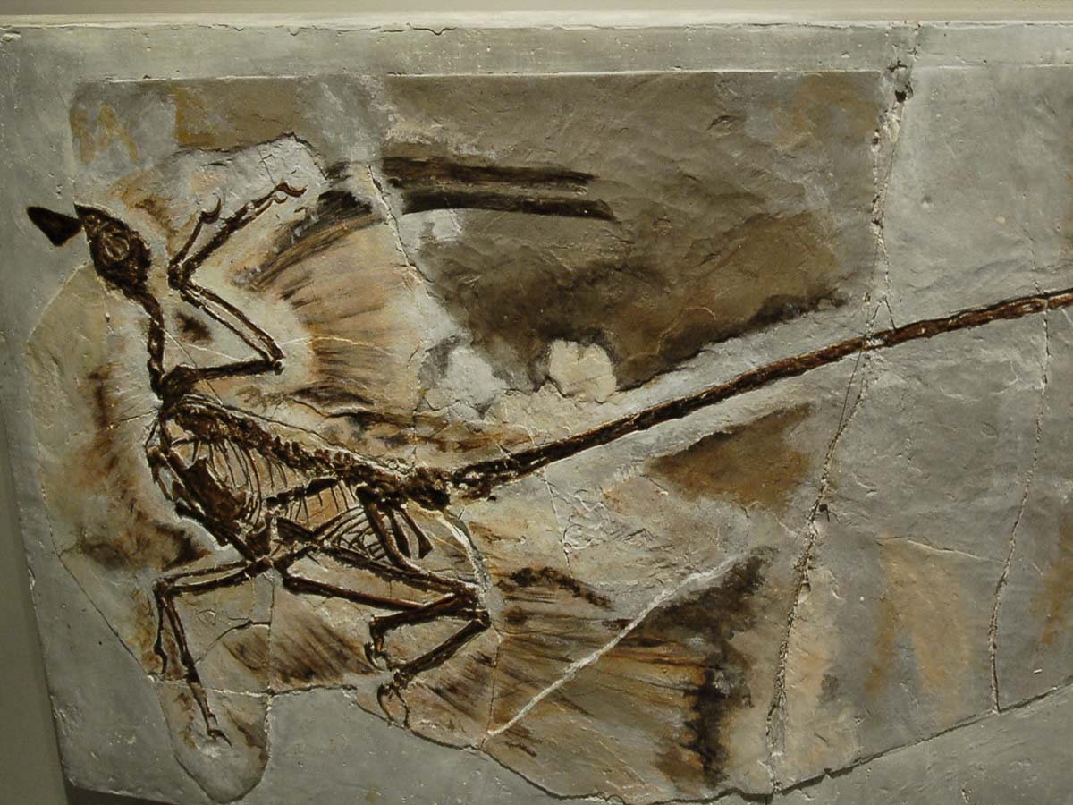 Real scientific hoaxes that fooled the public