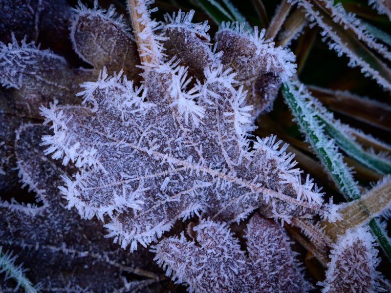 Wetterwarnung Herne bis morgen: DWD - Warnung vor Frost in der Region