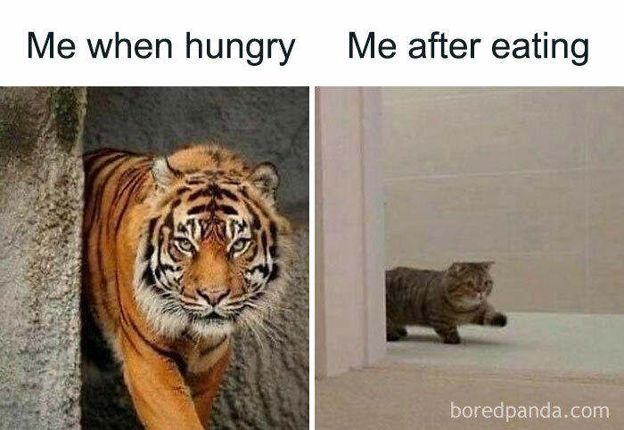 69 funny and chaotic marriage memes to send your partner instead of ...