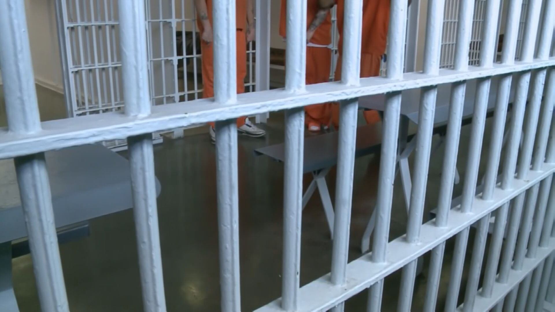 18 search warrants lead to 13 arrests in Georgia drug trafficking case