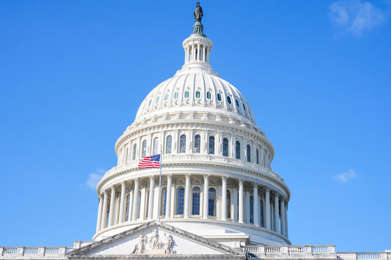 18-year-old in custody after running toward US Capitol with shotgun ...