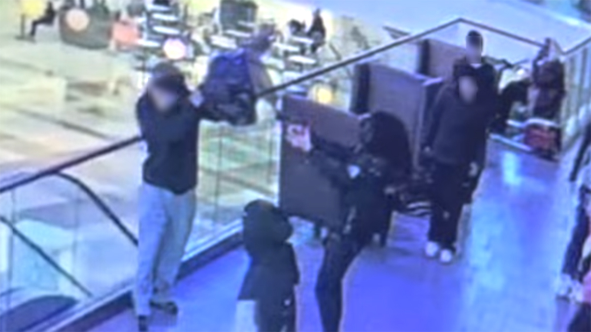 Springfield Town Center shooting: Video shows fight then gunfire inside ...