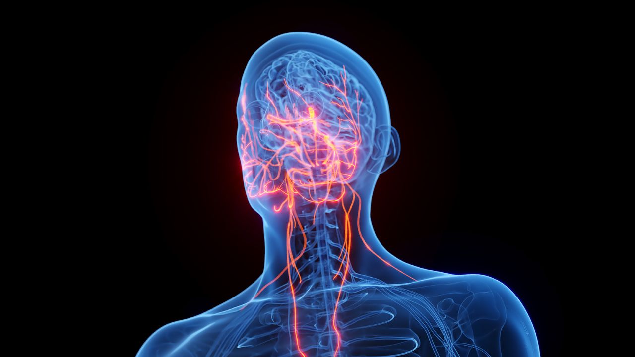 Sleep deprivation harms the gut via the vagus nerve, early study reveals
