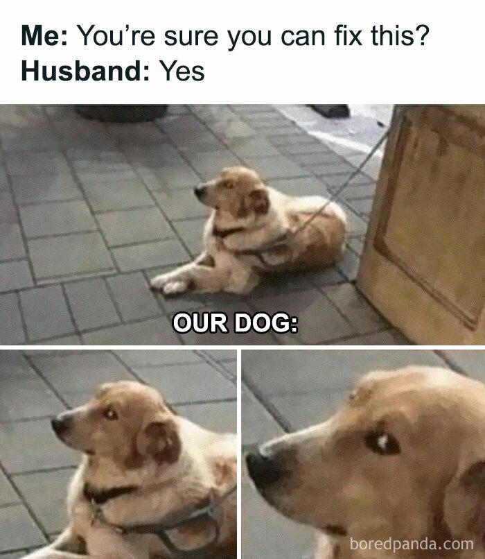 69 funny and chaotic marriage memes to send your partner instead of ...