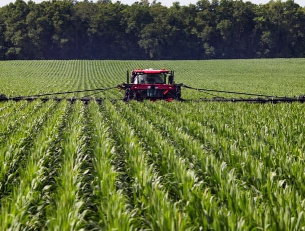 Florida pauses farm inspections as producers battle triple threat of ...
