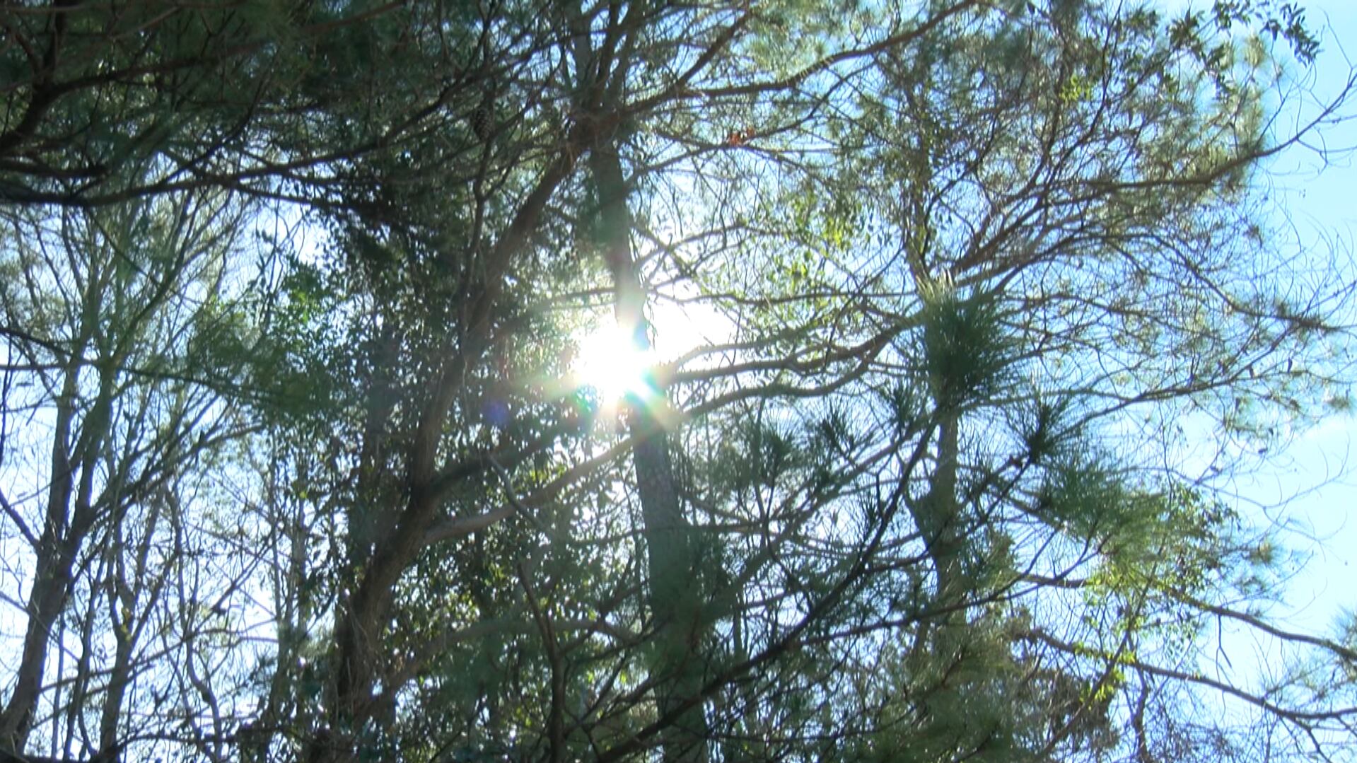 Wilmington hosting second community event for Greenville Loop Road park ...