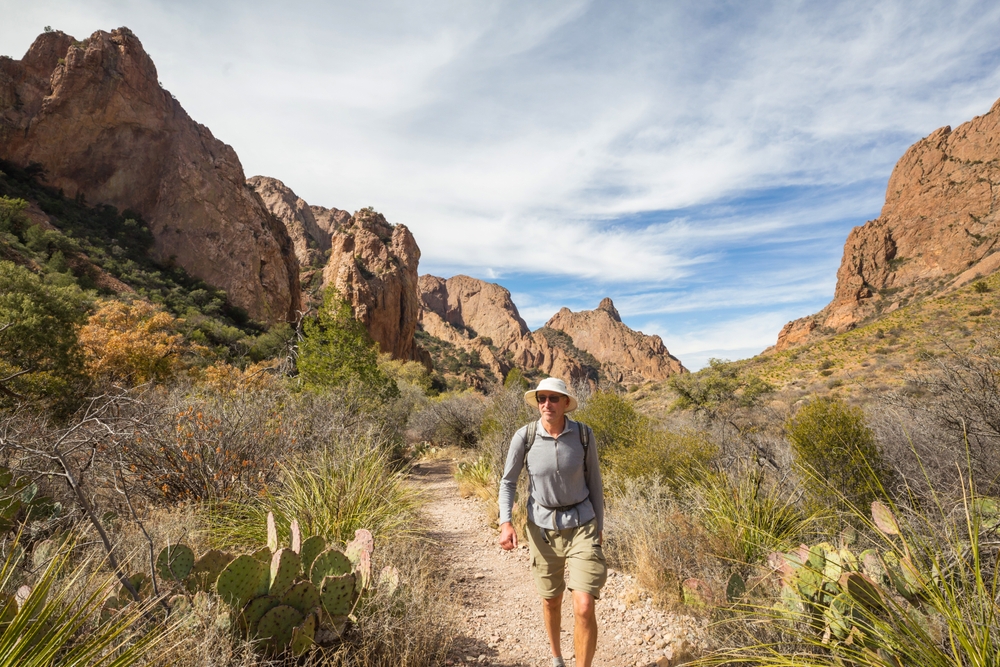 17 spring break desert trips with short hikes and great kid stops