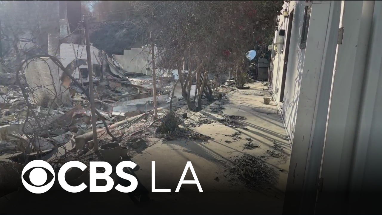 Community rallies behind Palisades Fire survivor who had rebuilding ...