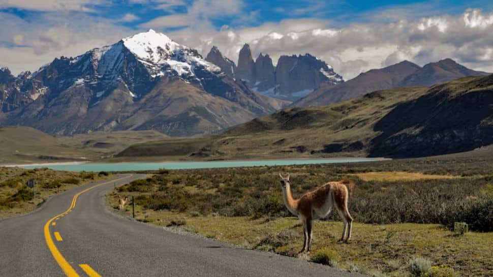 If you love adventure walks, explore 5 best hiking and trekking ...