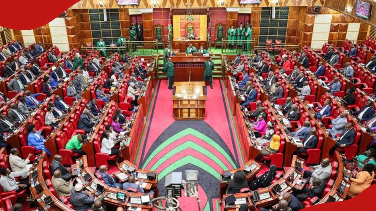 Parliament supports motion to regulate TikTok: "We must be brave"