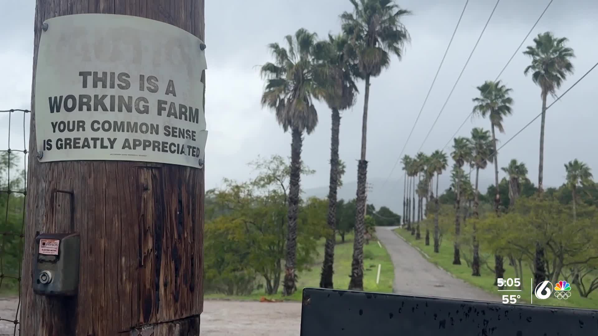 Sheriff’s office investigating deaths of Goleta coffee pioneers Jay and ...