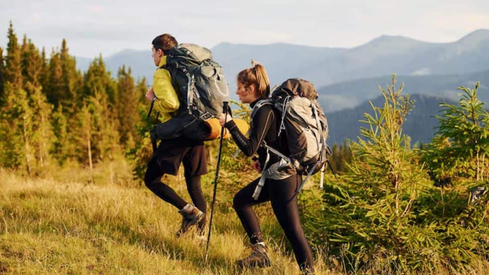 If you love adventure walks, explore 5 best hiking and trekking ...