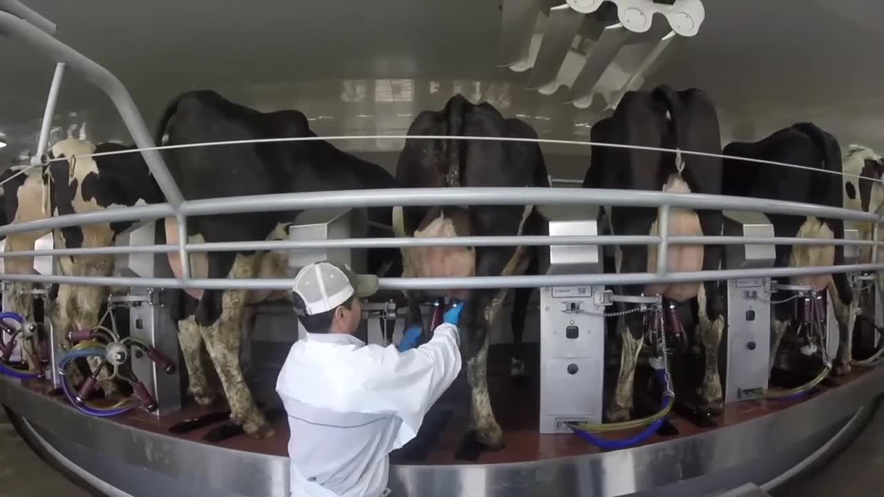 Experts warn raw milk risks as Ada County investigates E coli illnesses