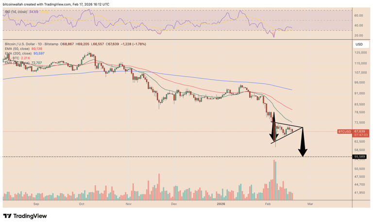 Bitcoin chart pattern, whale activity warn of another 20% price drop