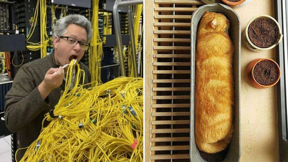 10+ moments when ordinary objects looked deceptively like food
