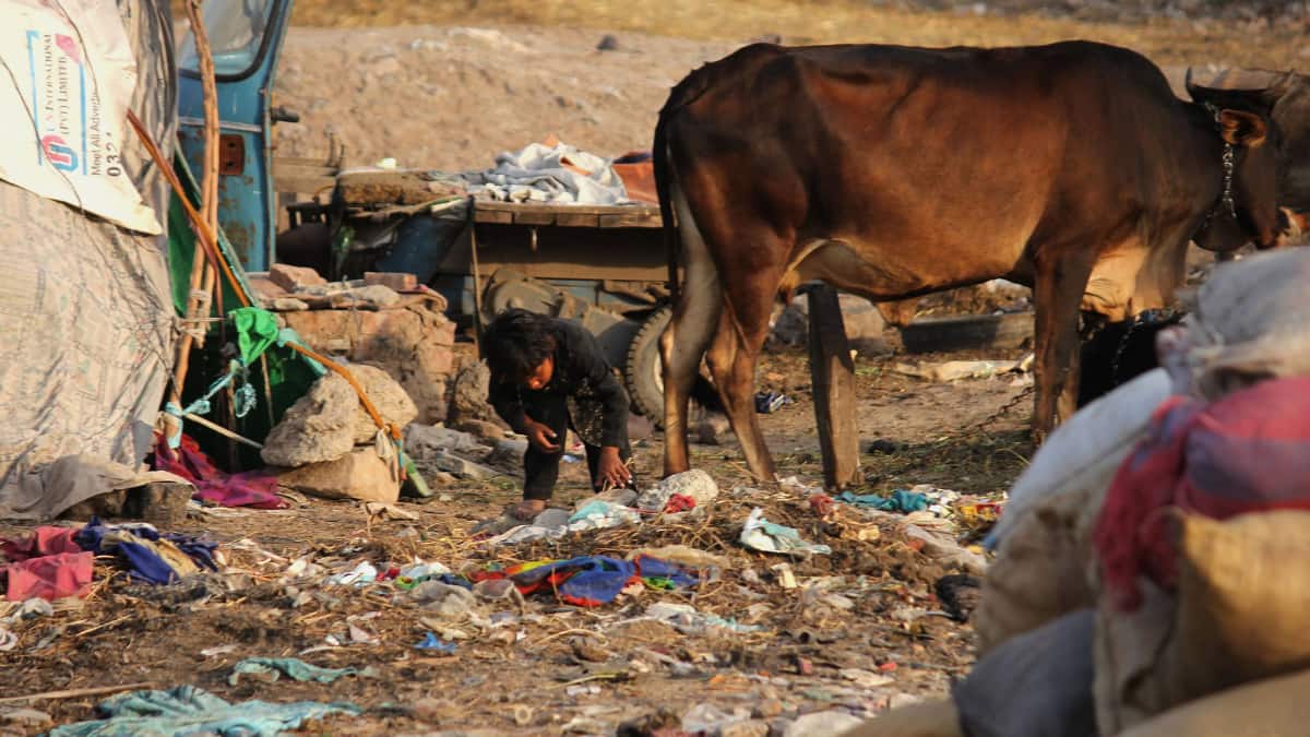 India to stop surplus Ravi water to Pakistan as Shahpur Kandi project ...